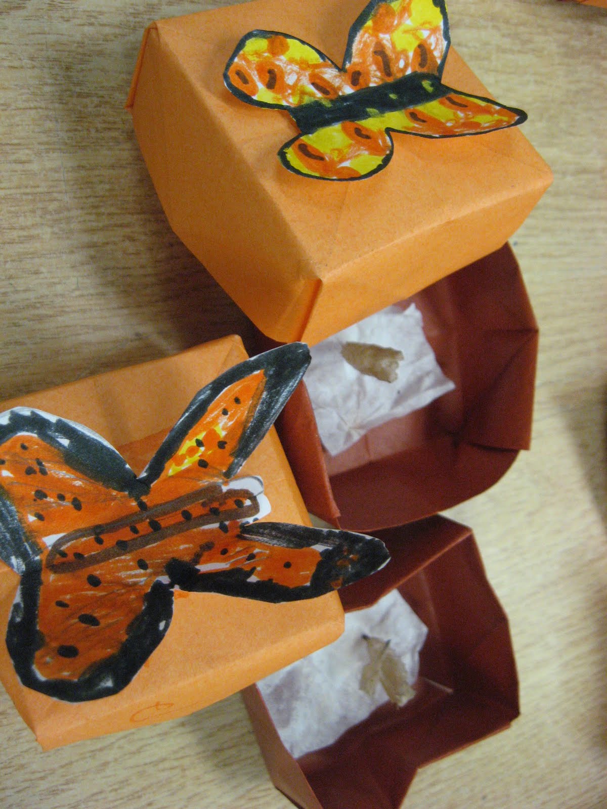 Planet 5 News: Making a chrysalis box